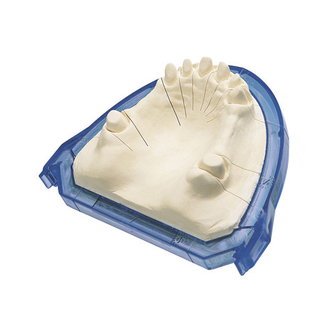 Qualität mit Tradition - model-tray® Hamburg